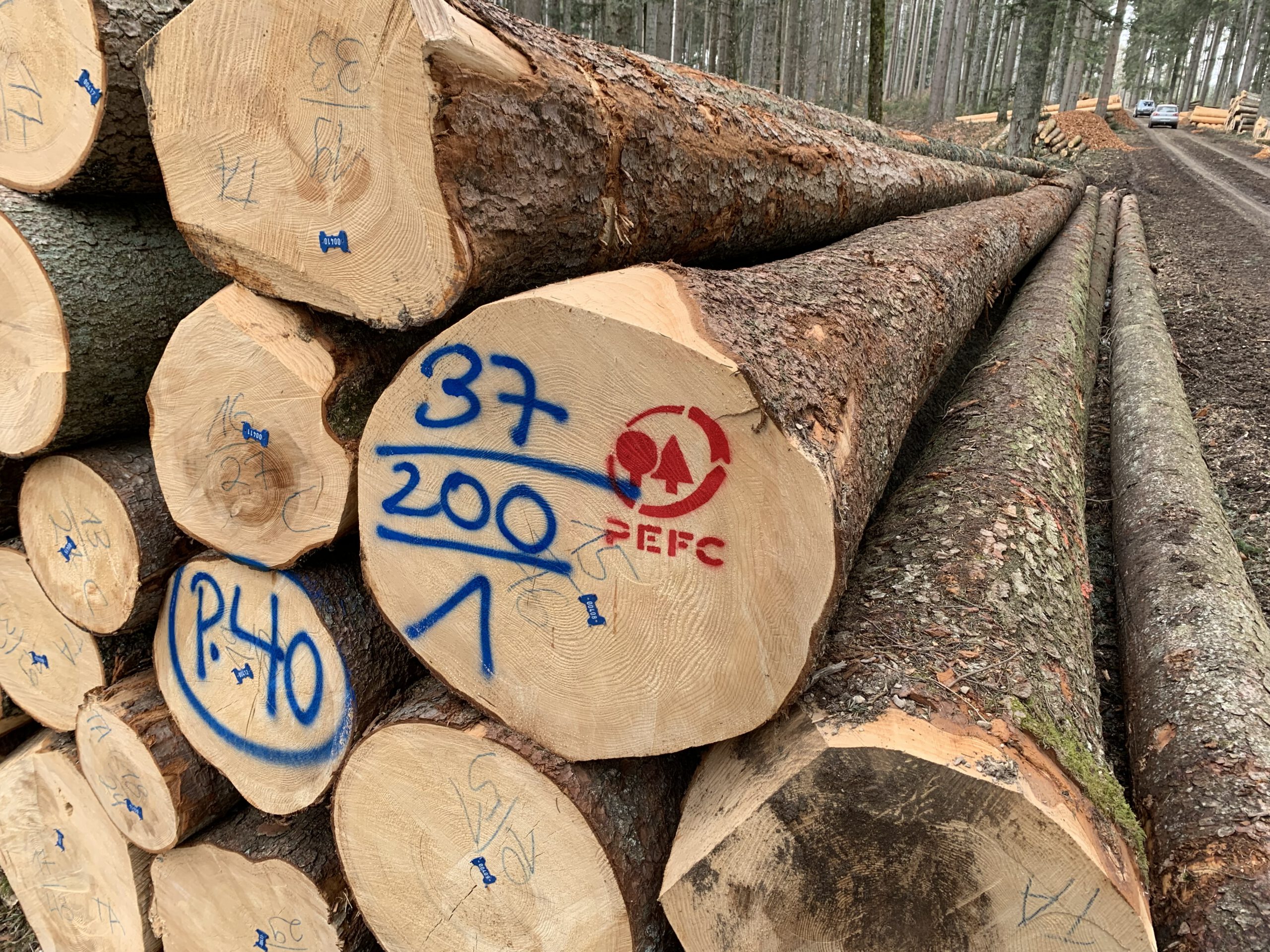 Nadel-Stammholz lang: PZ-/Spaner-Holz - FBG Landkreis Tuttlingen